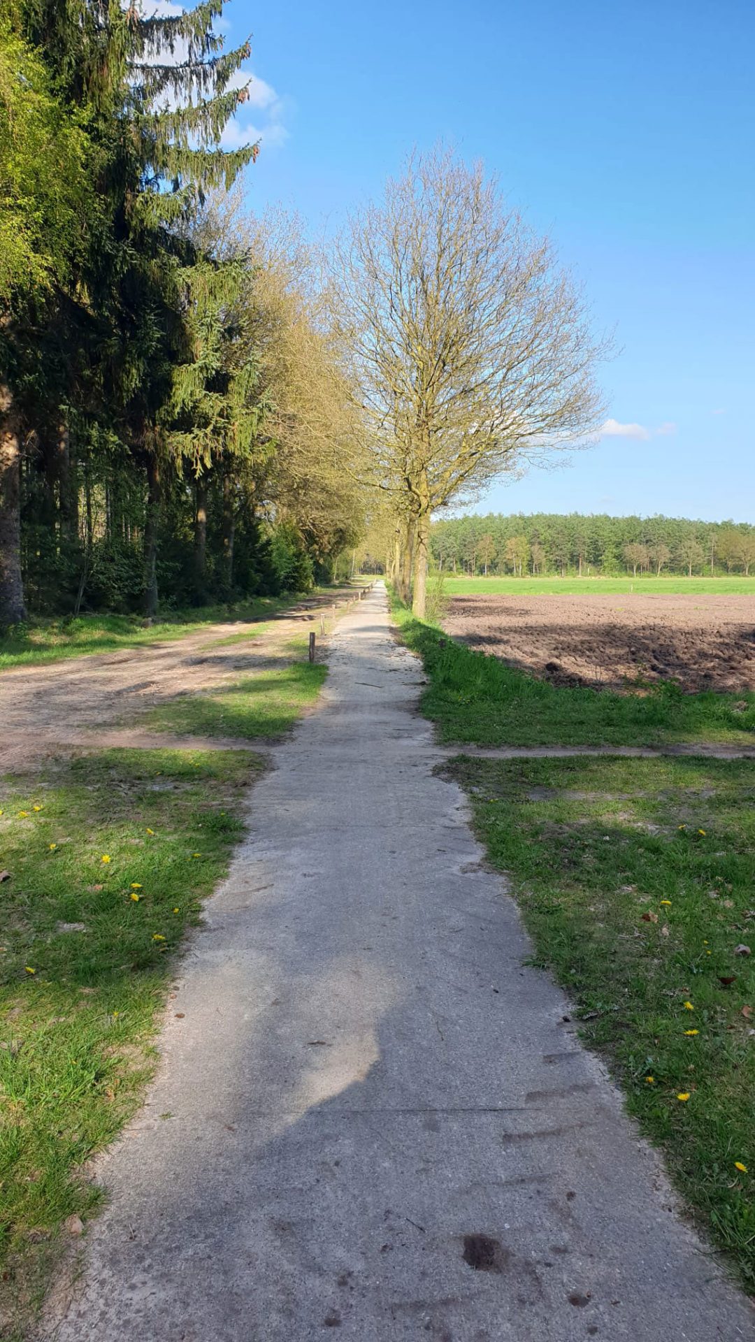 Smal schelpenpadje op fietsroute staatbos nu breed - Weblog Staphorst ...