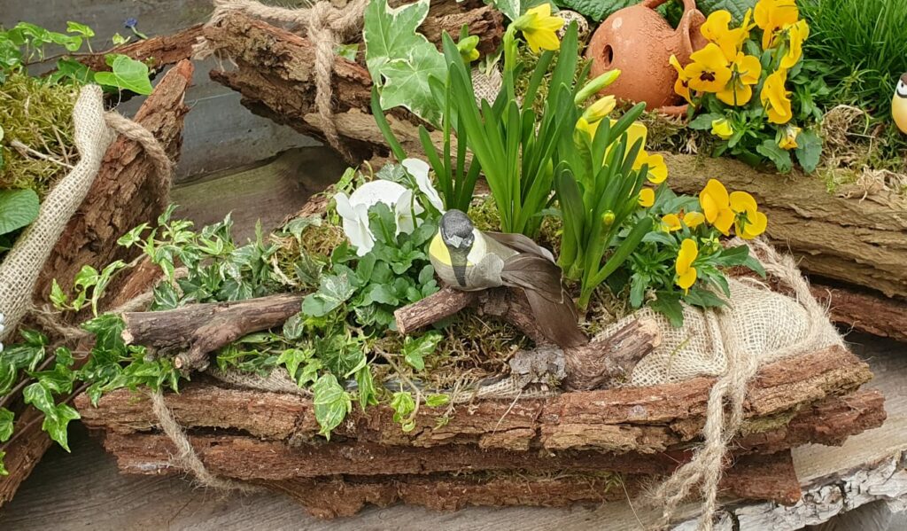 Anton's bloemkwekerij - Tuinplanten vers uit de kas - Weblog Staphorst ...