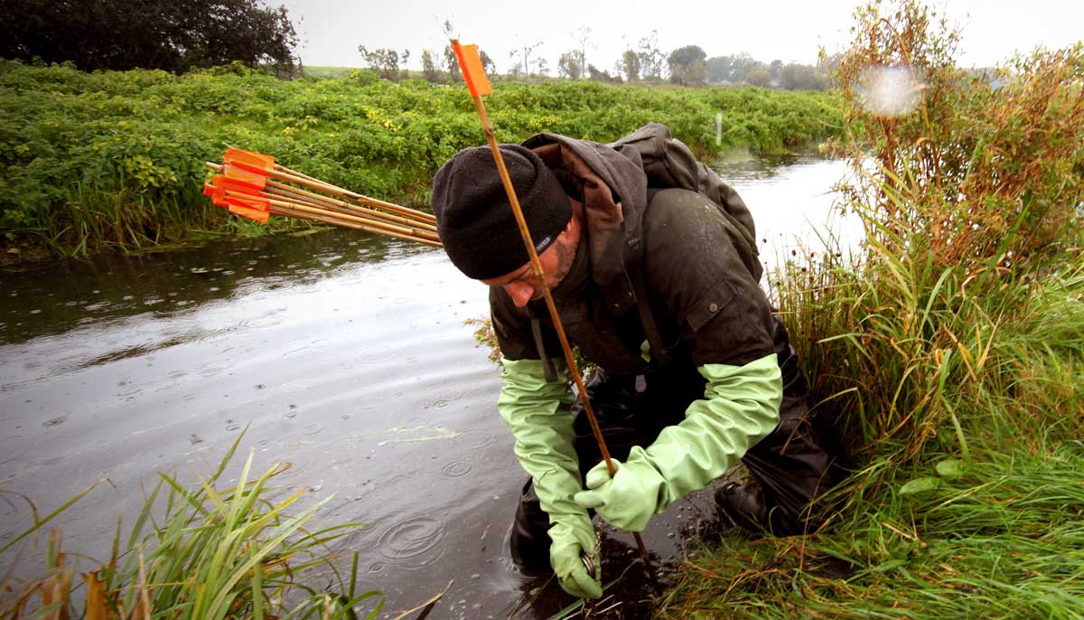 Meer muskus- en beverratten gevangen langs Duitse grens Noordoost ...